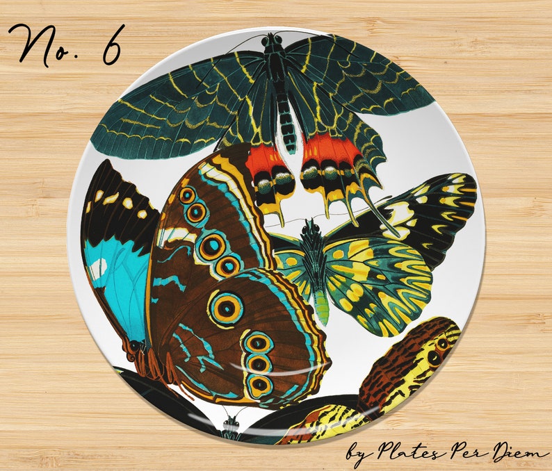 Blue Green Butterfly Dinner Plate Set of 6 for Indoor/outdoor Dining ...