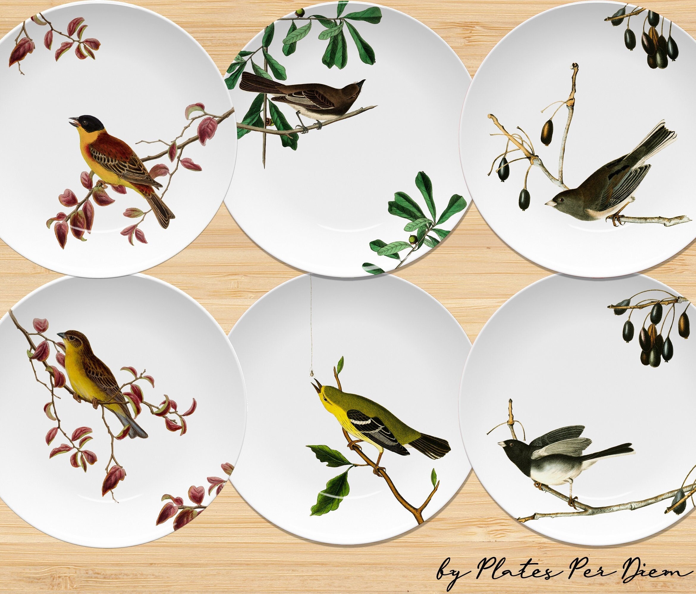 Perching Birds Mixed Set of 6 Dinner Plates for Indoor/outdoor Dining ...