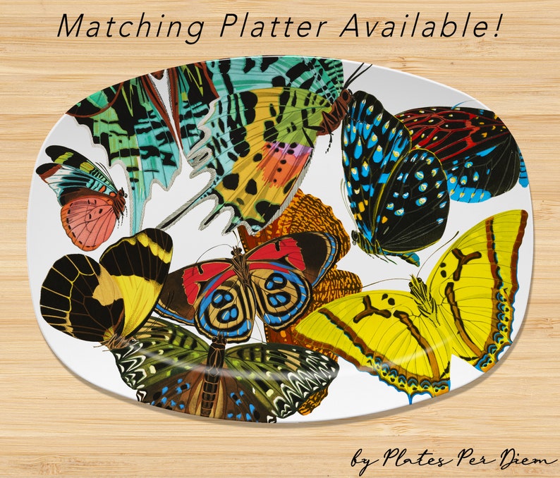 Blue Green Butterfly Dinner Plate Set of 6 for Indoor/outdoor Dining ...