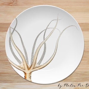 Octopus Dinnerware Set of 4 Plates for Indoor and Outdoor Dining ...