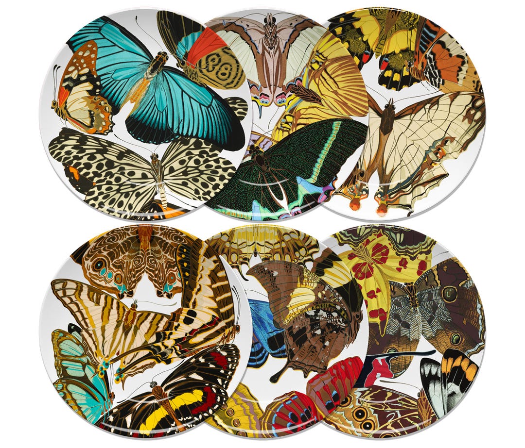 Earth Tone Butterfly Dinner Plate Set of 6 for Indoor/outdoor Dining ...