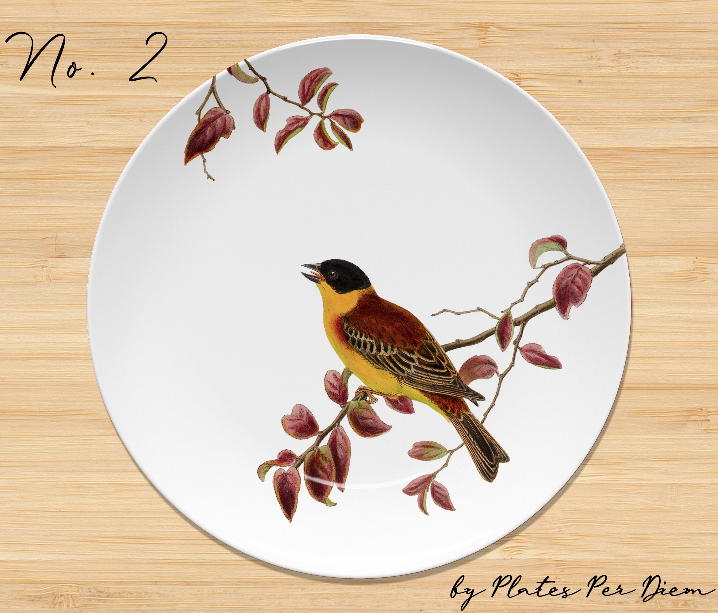 Perching Birds Mixed Set of 6 Dinner Plates for Indoor/outdoor Dining ...