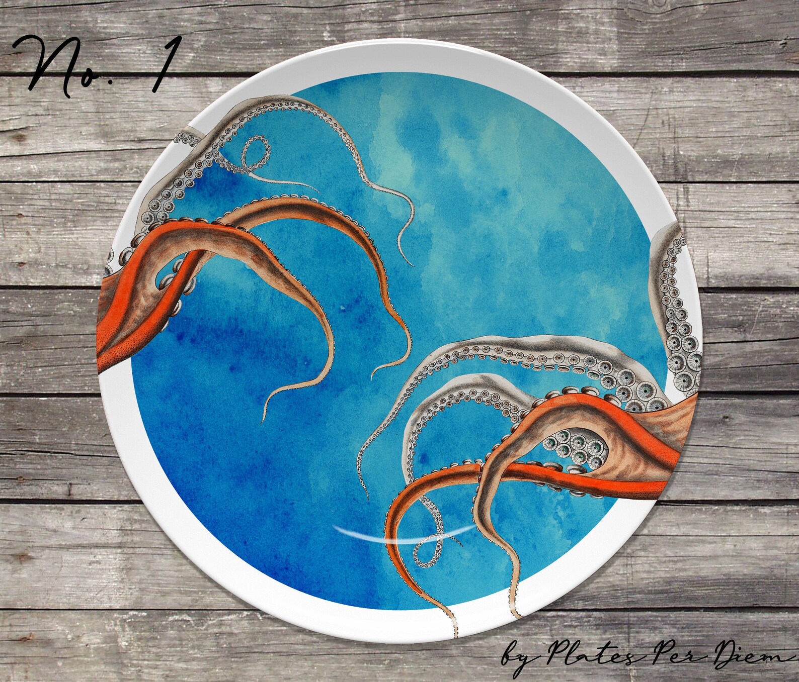 Blue Octopus Plates Dinnerware Set for Indoor and Outdoor Dining ...