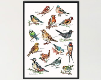 British Birds Poster - Etsy UK