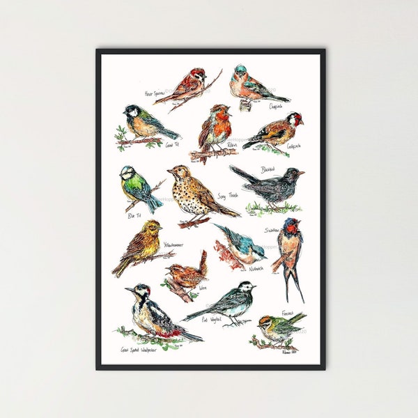 British Birds Poster - Etsy UK