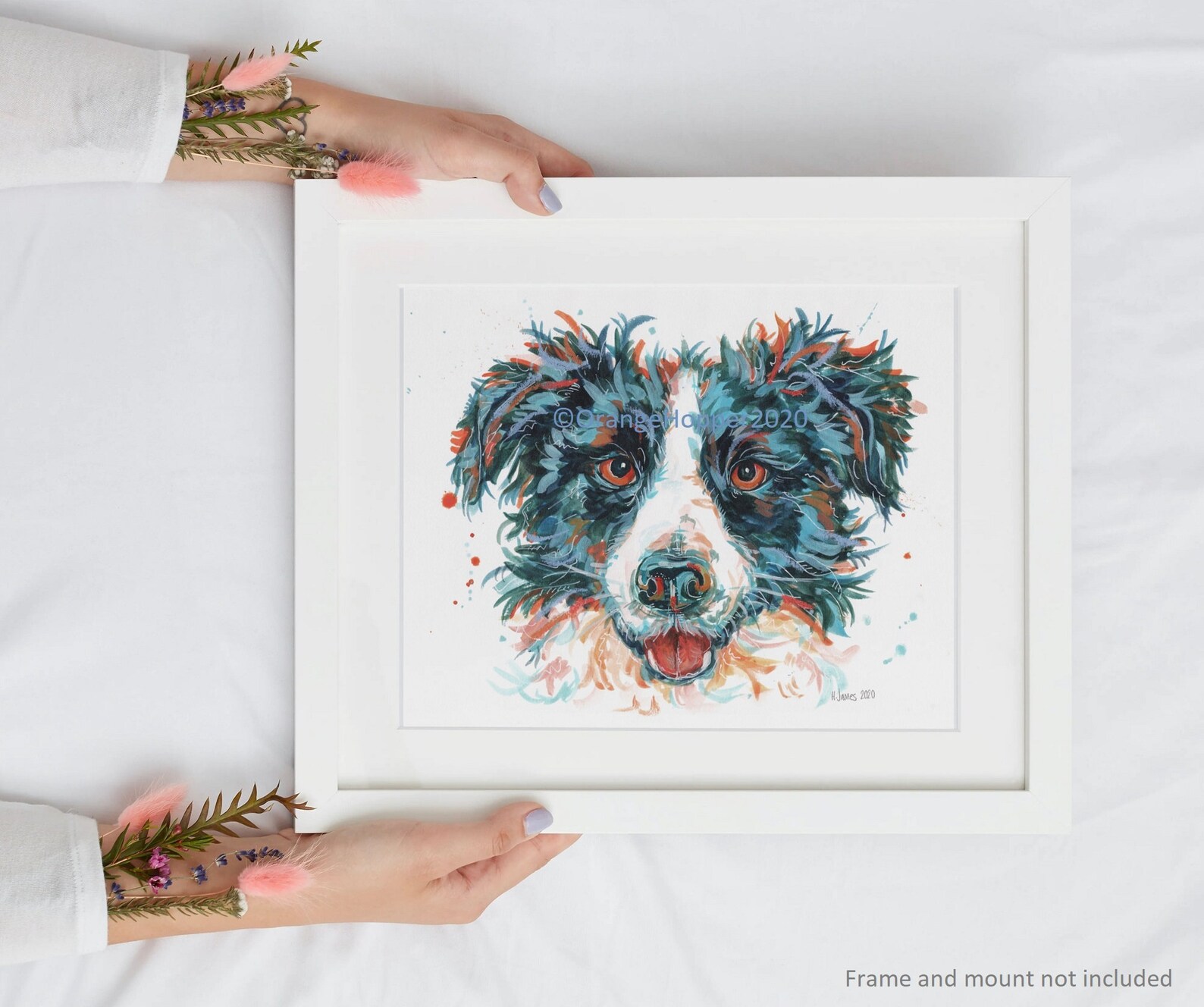 Border Collie Print / Border Collie Art / Sheepdog Painting / - Etsy