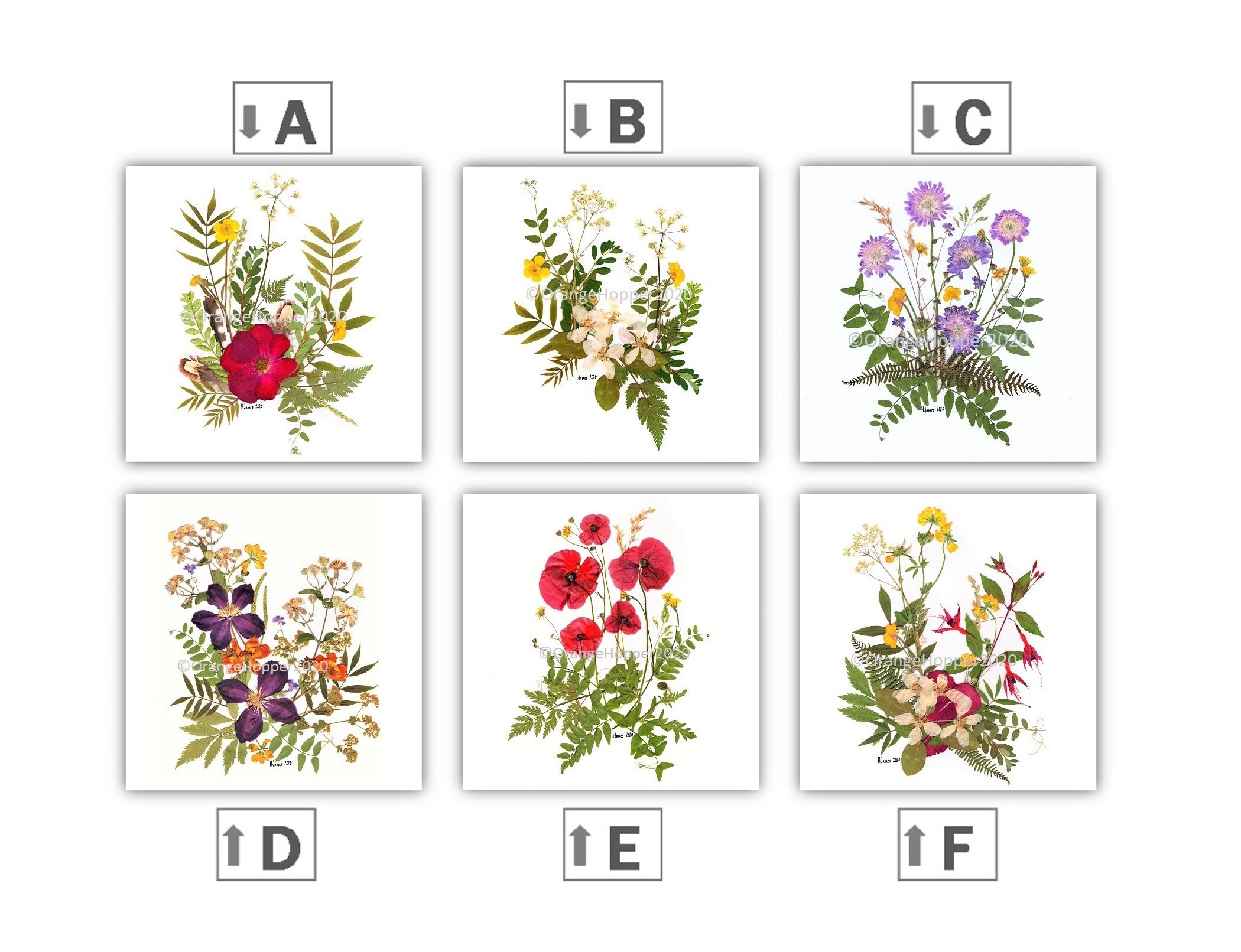 Pressed flower prints Set of 3 / square botanical art / floral print ...