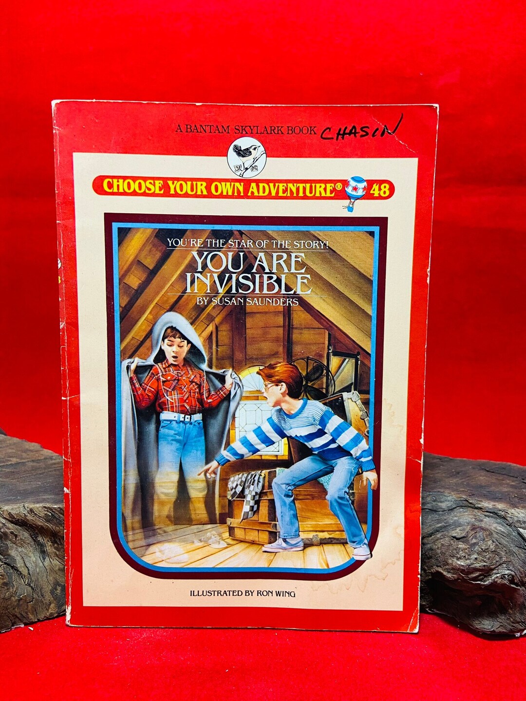 You Are Invisible: Choose Your Own Adventure #48 (vintage Interactive ...