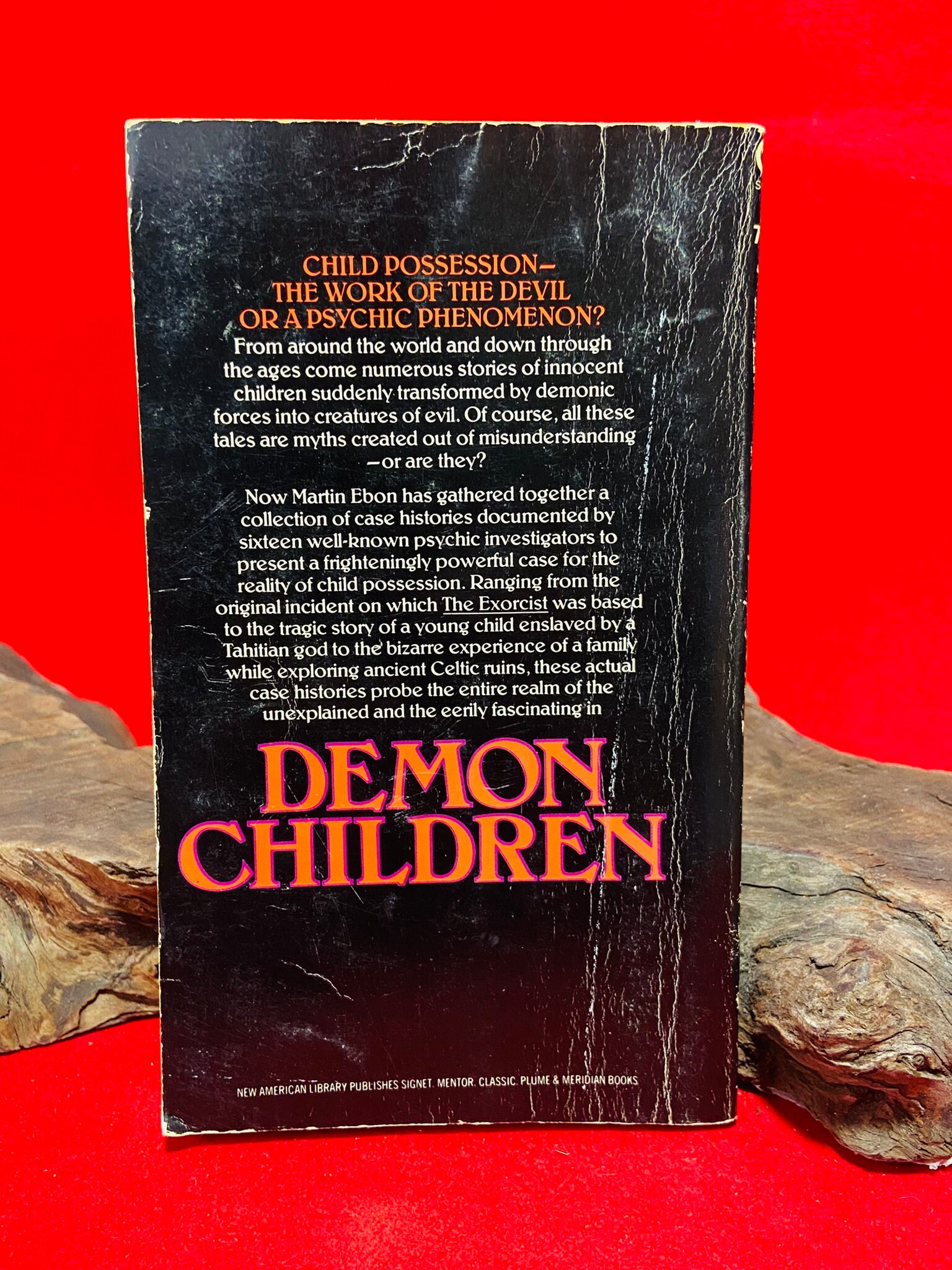 Demon Children by Martin Ebon vintage Occult Paperback - Etsy