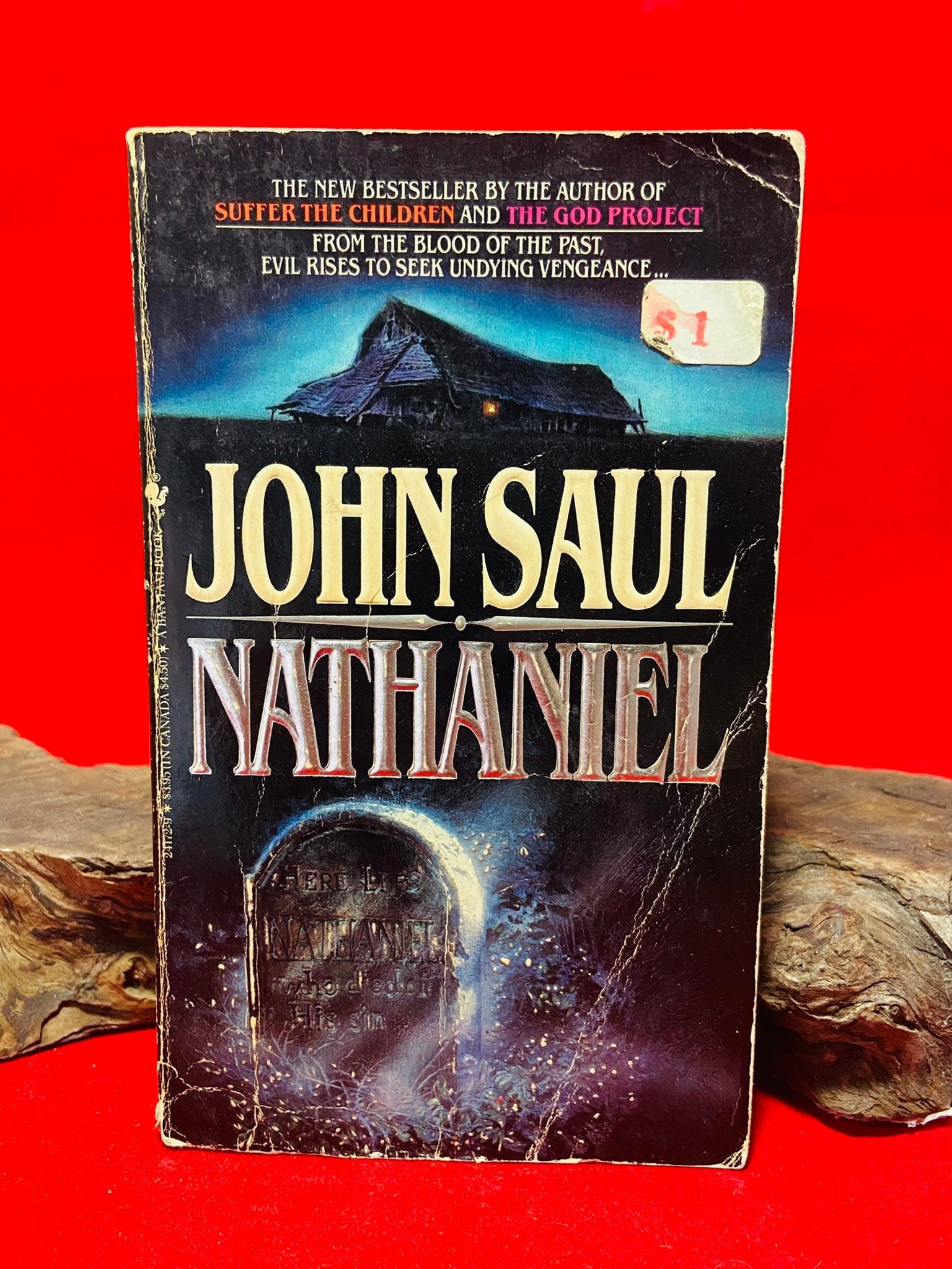 Nathaniel by John Saul vintage Horror Paperback - Etsy