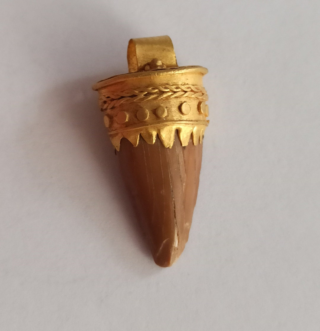 Unique Ancient Viking Nordic High Carat Gold Shark Tooth Pendant 900 ...
