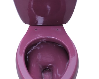 Bright Pink Rose Color Vintage Toilet by Eljer Bathroom With - Etsy