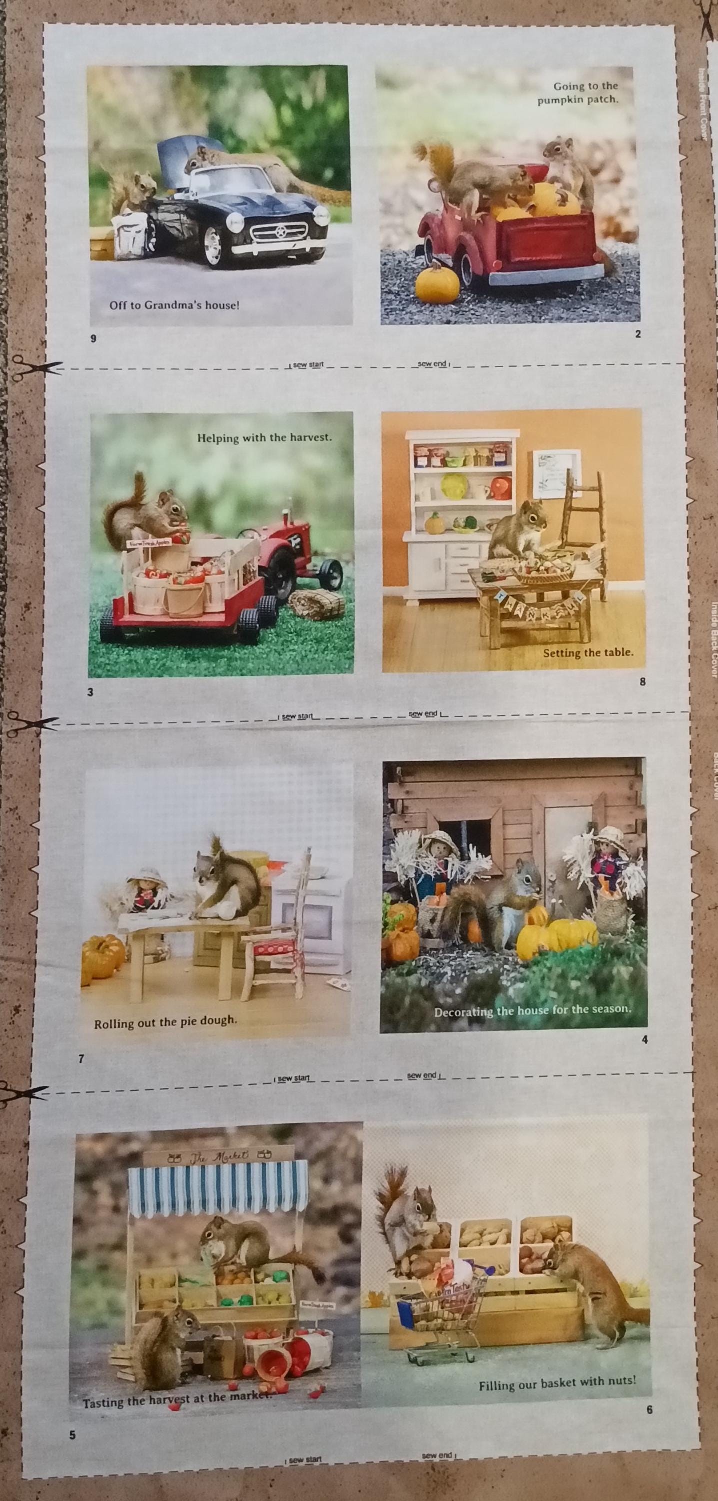 The Secret Life of Squirrels III Book Panel - Y4527-55 - by Nancy Rose ...