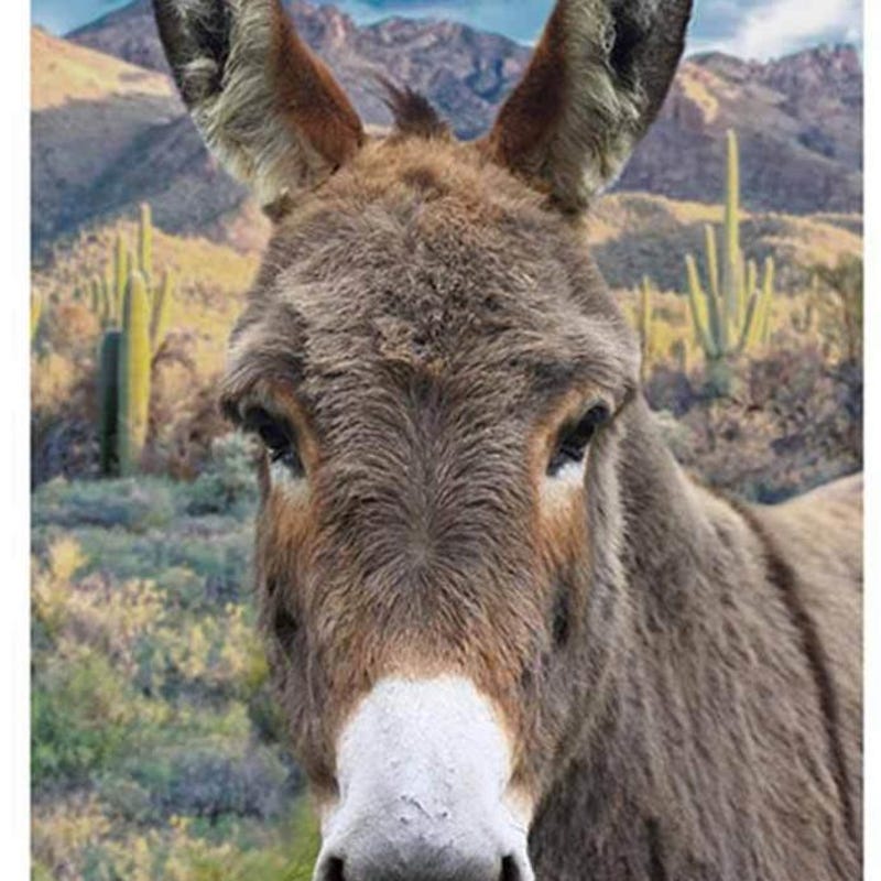 Donkey Panels for Quilts - Etsy