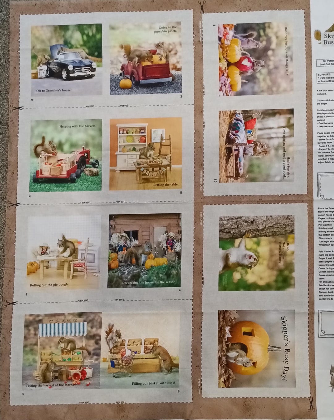 The Secret Life of Squirrels III Book Panel - Y4527-55 - by Nancy Rose ...