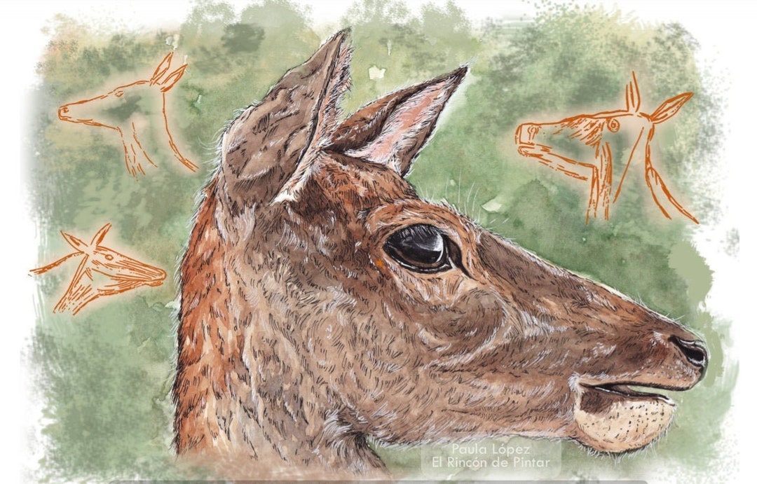 Paleolithic Deer Rock Art A4 or A5 Watercolor Print on Coated Paper. - Etsy