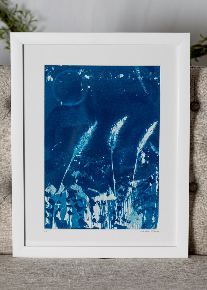 Original Cyanotype Print - Etsy