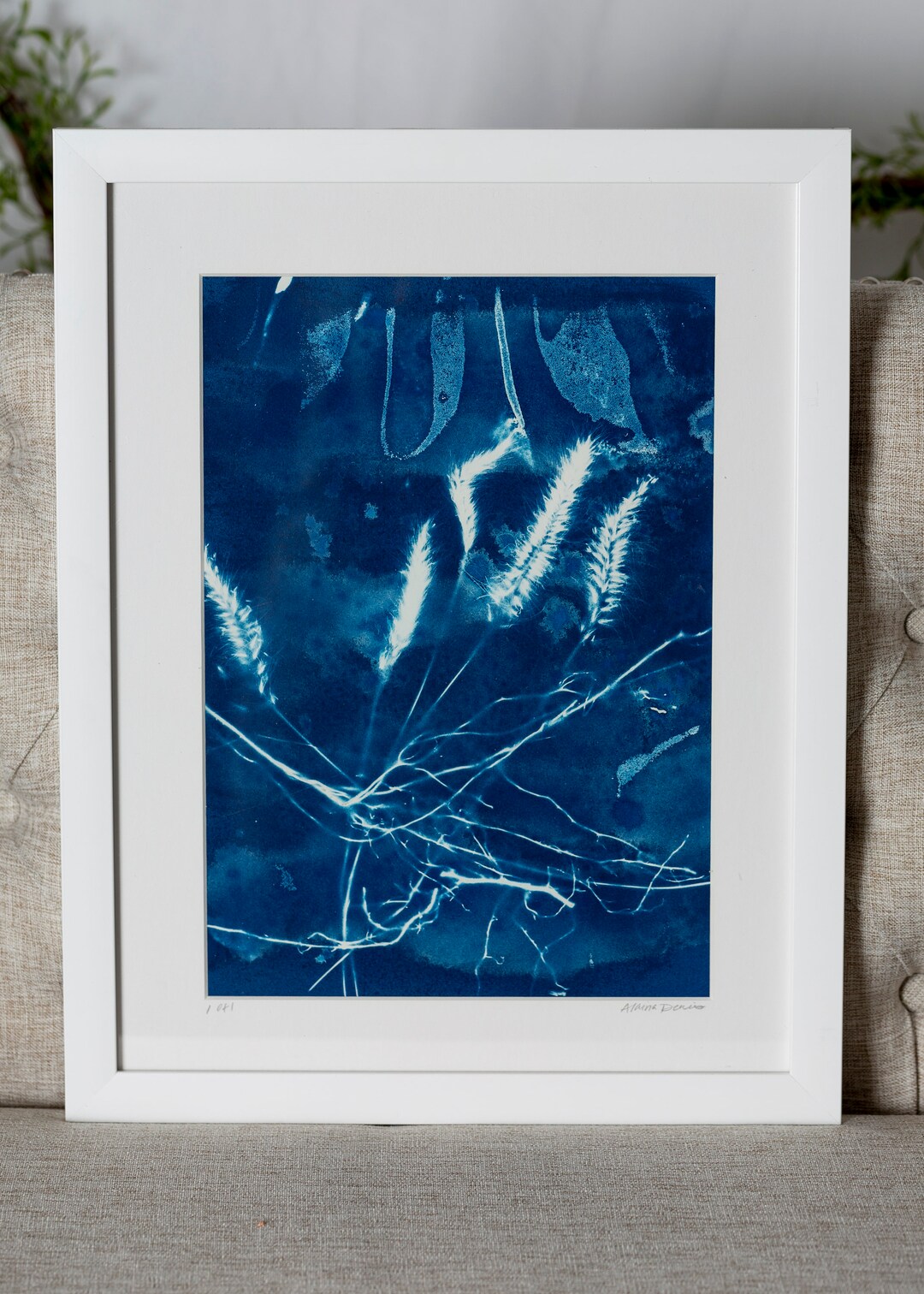 Original Cyanotype Print - Etsy