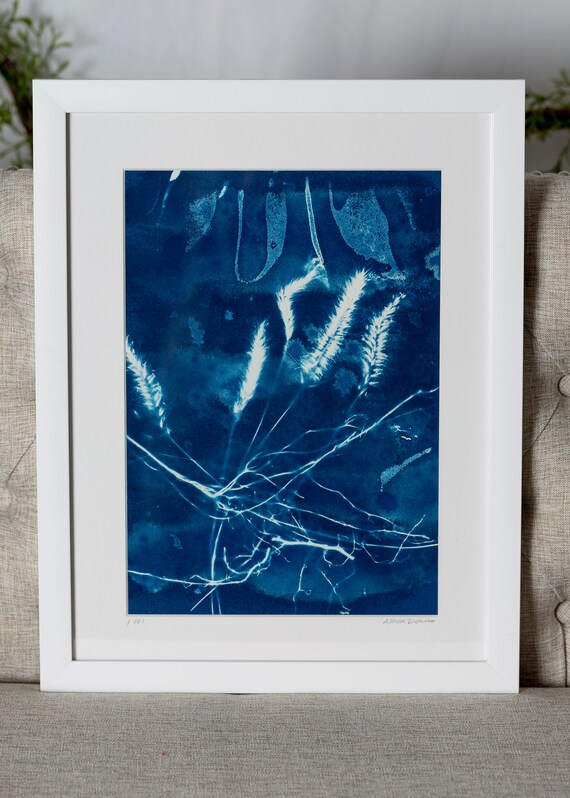 Original Cyanotype Print - Etsy