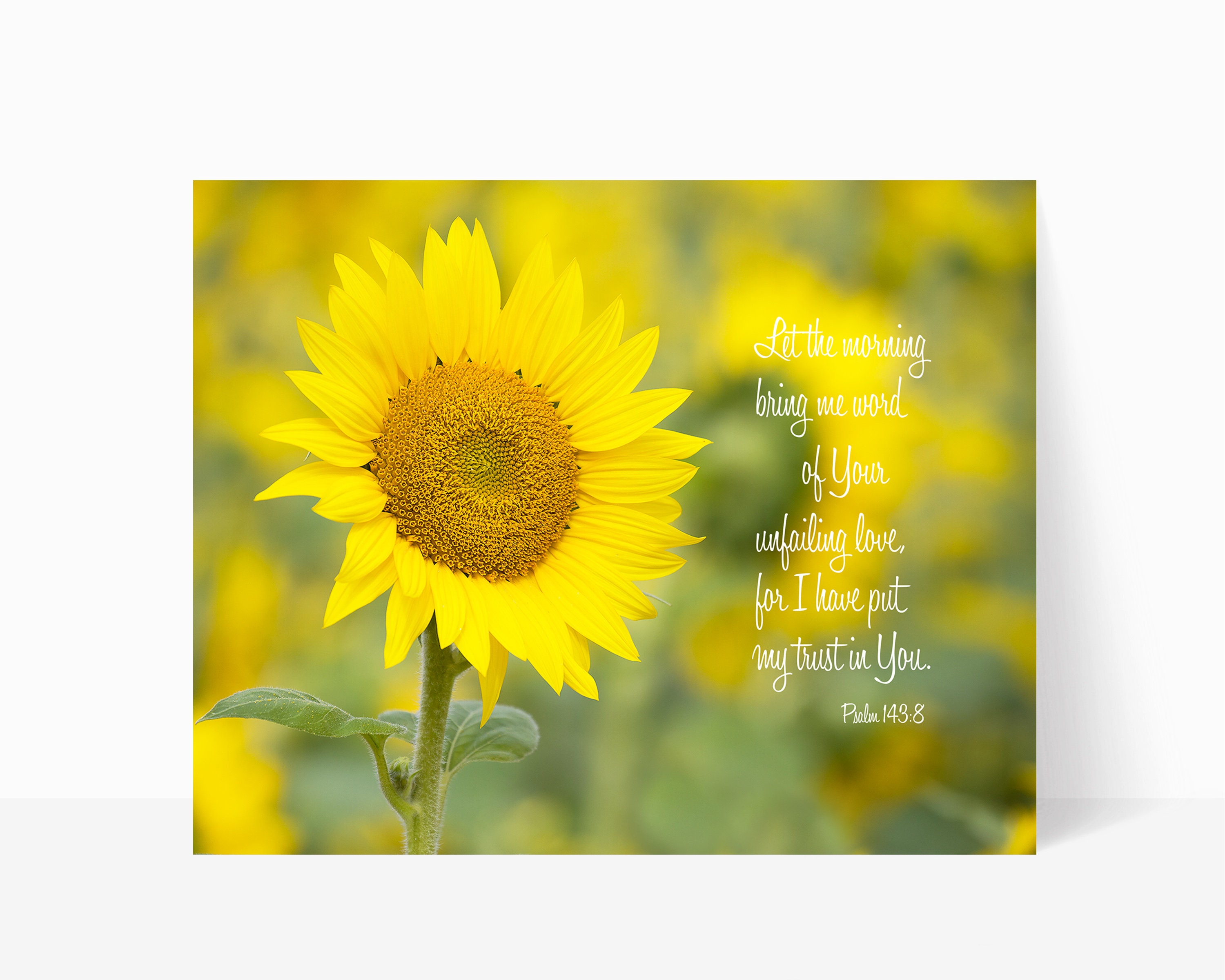 Sunflower Bible Verse - Etsy