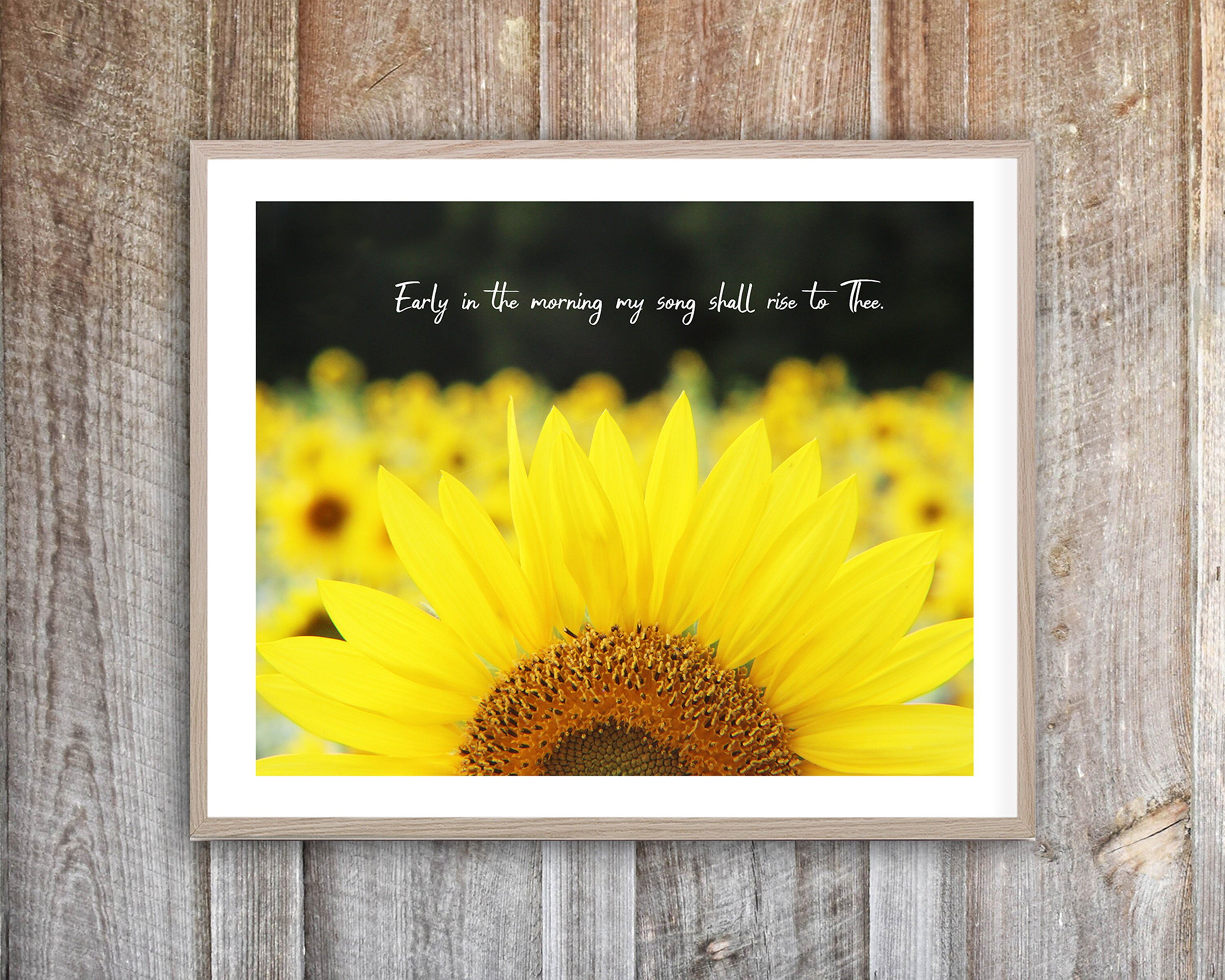 Sunflower Bible Verse - Etsy