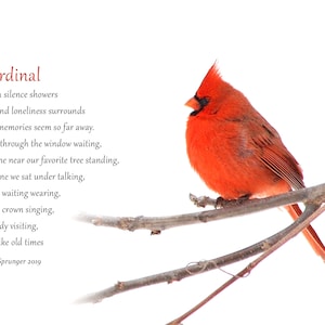 Cardinal Inspirational Poem | Etsy