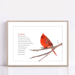 Cardinal Inspirational Poem | Etsy
