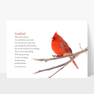 Cardinal Inspirational Poem | Etsy
