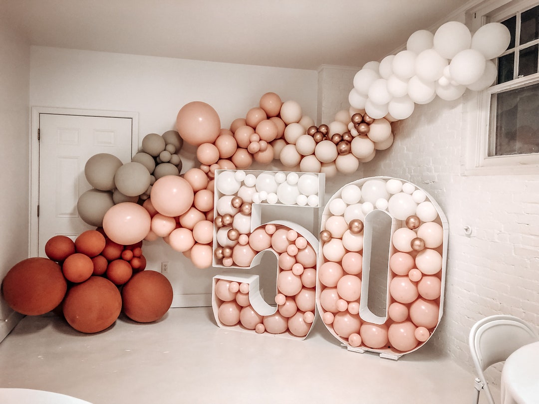 Terracotta Balloon Garland Kit Muted Pink Balloon Garland First ...