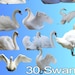 30 Swan Overlays for Photoshop, Swan Overlays, Bird Overlays, Swans ...