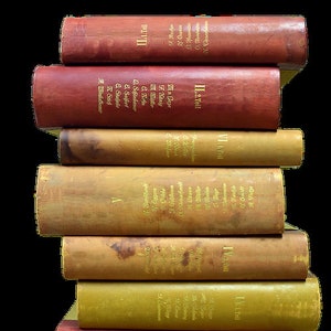 20 Book Overlays, PNG, Transparent Background, Books, Library - Etsy