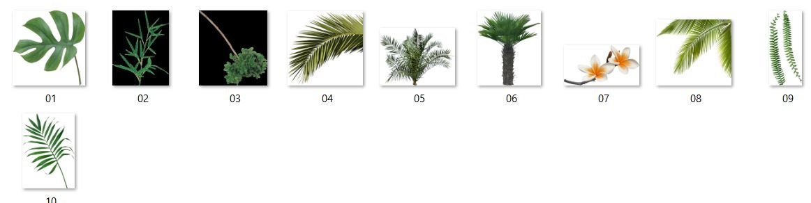 50 Tropical Tree Branch Overlays for Photoshopphotoshop - Etsy