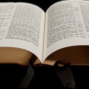 20 Book Overlays, PNG, Transparent Background, Books, Library - Etsy