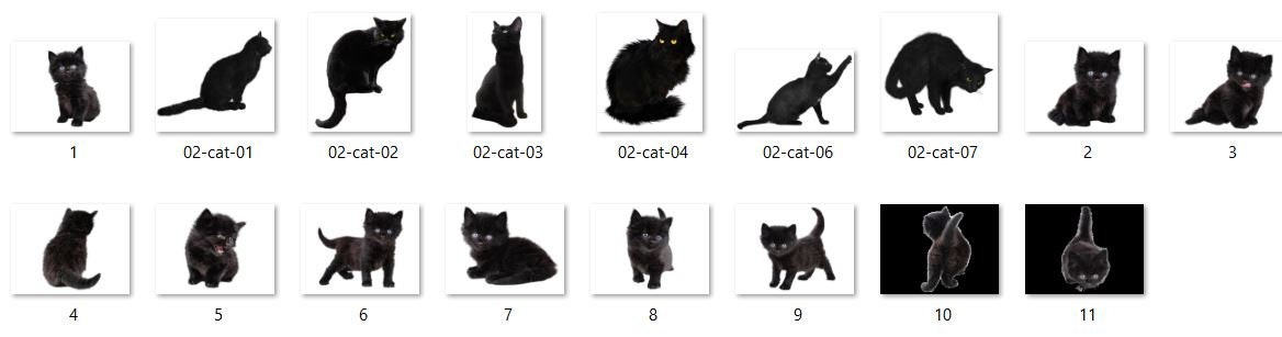 16 Black Cat Overlays for Photoshop Cat Overlays Halloween - Etsy UK