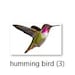 30 Realistic Hummingbird Overlays for Photoshop (digital Files) - Etsy