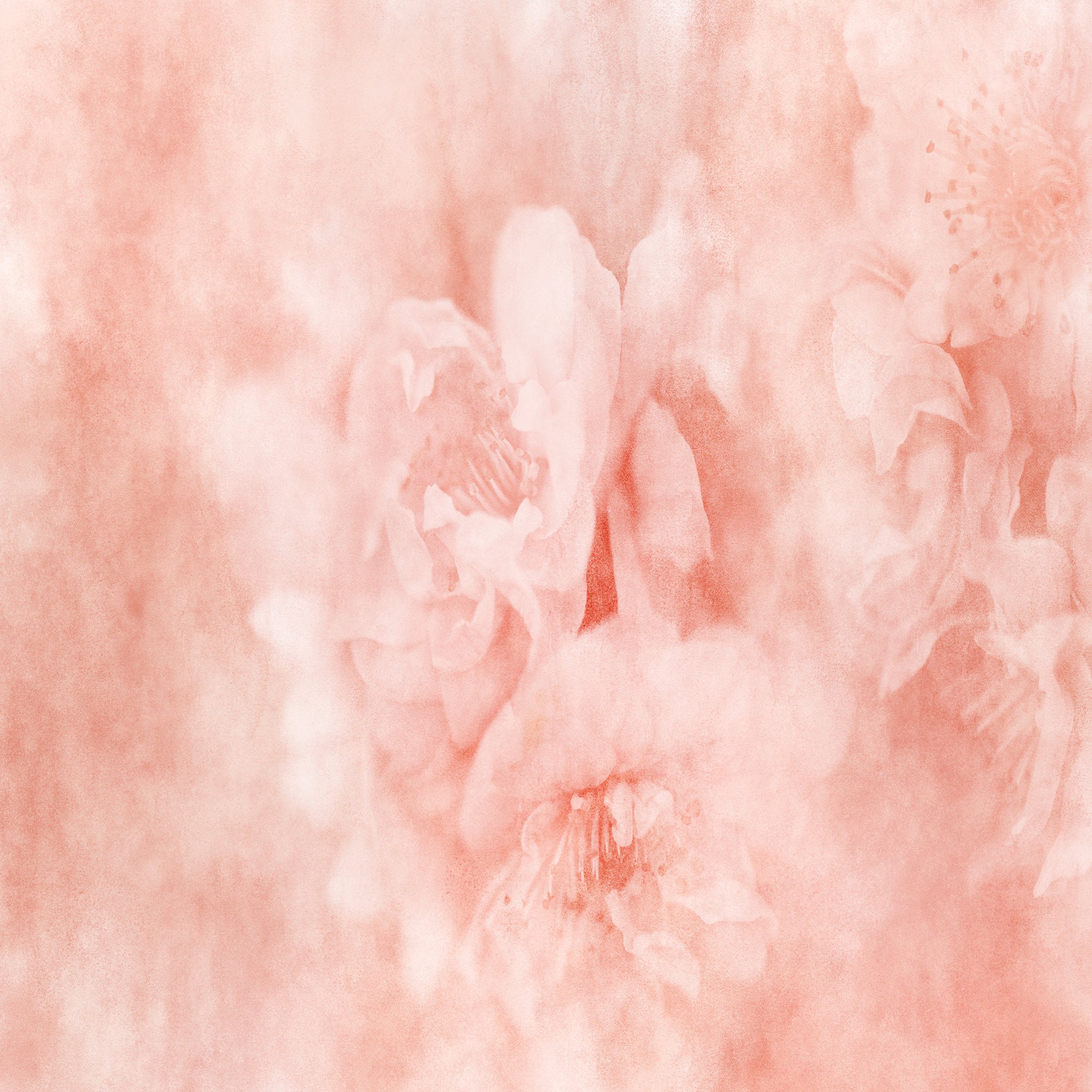 Fine Art Textures Photoshop Textures Flower Textures Floral Etsy