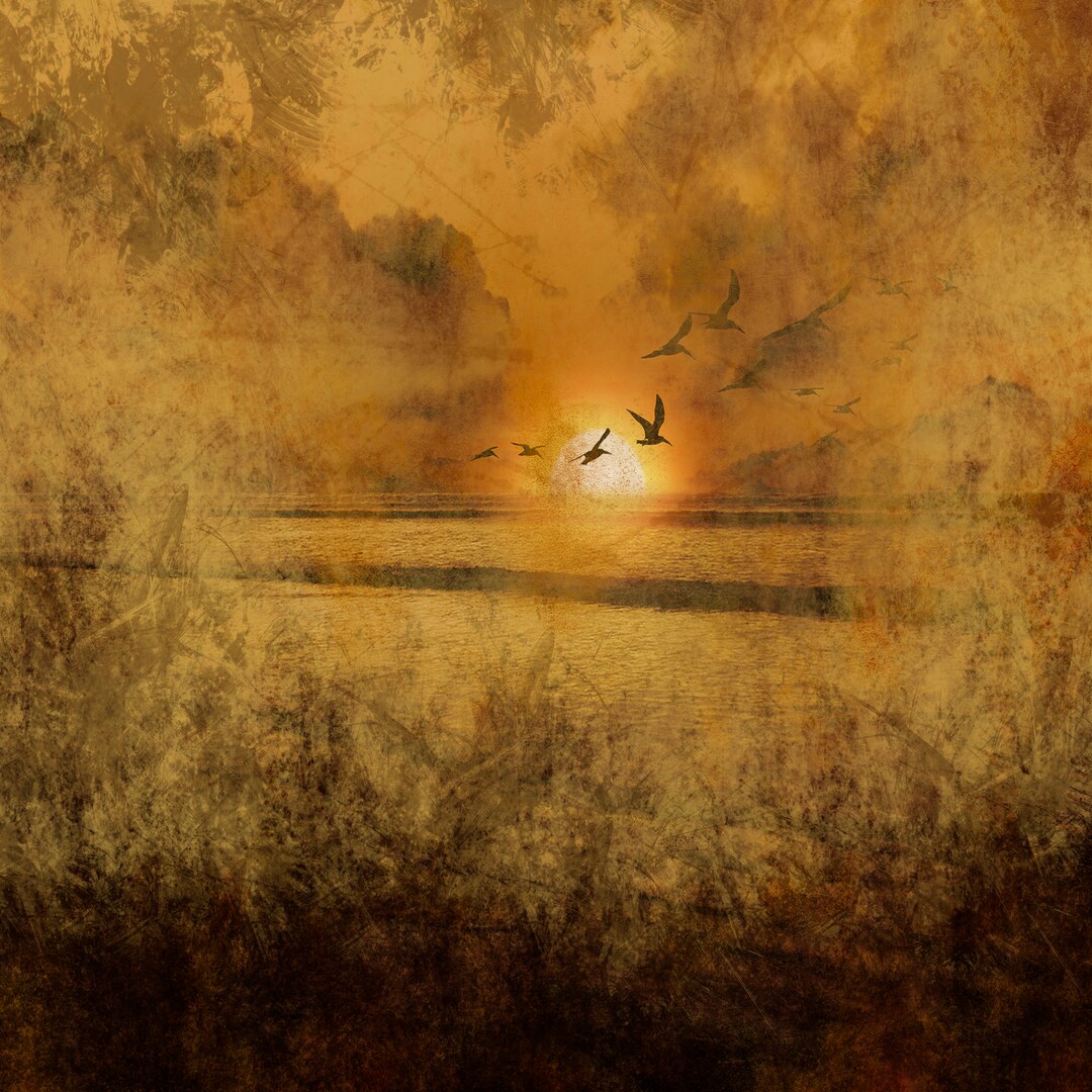 Fine Art Texture Backdrop for Portraits Beach Sunset, Fine Art Texture ...