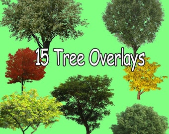 65 Assorted Plants Photo Overlays for Photoshop Trees - Etsy