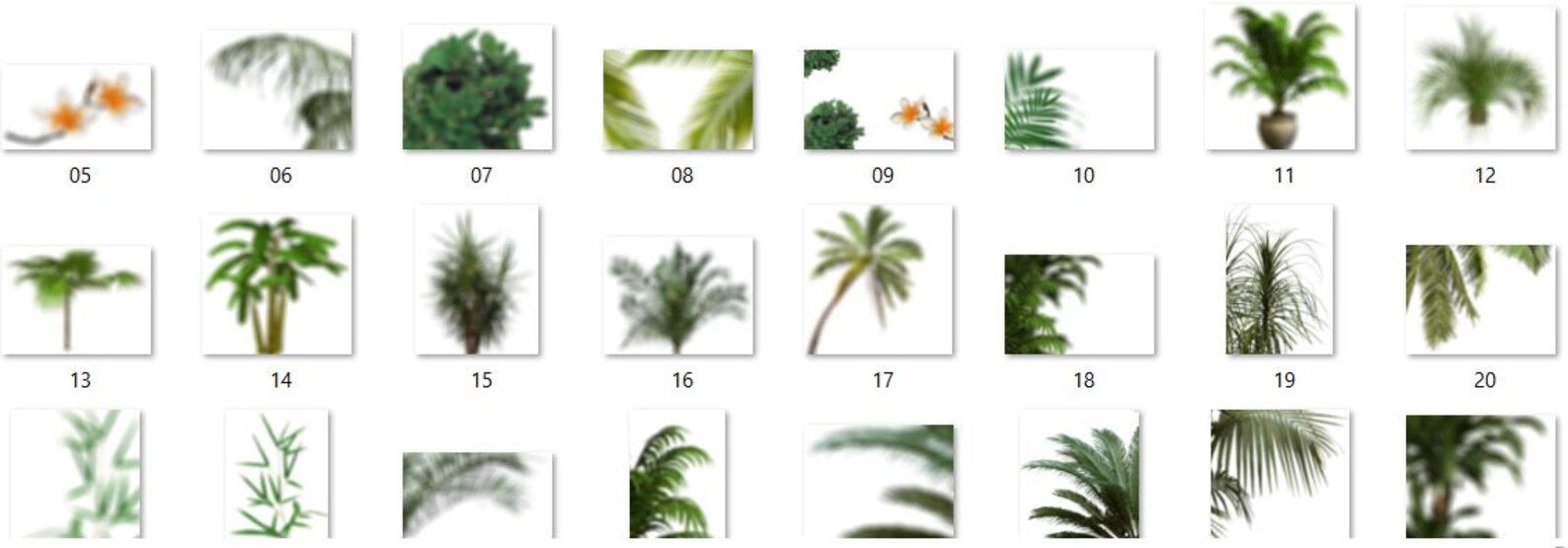 50 Tropical Tree Branch Overlays for Photoshopphotoshop | Etsy