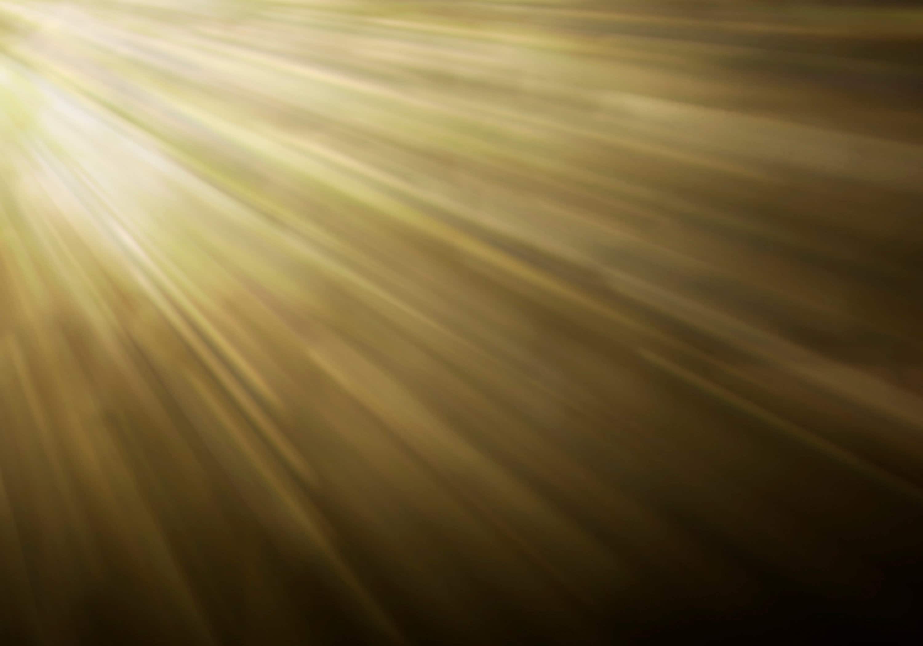 Sun Ray Sunshine Sun Flare Overlays for Photoshop | Etsy