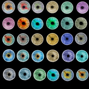 Eye Color Photoshop Overlays: 30 PNG Digital Lens Effects (digital ...