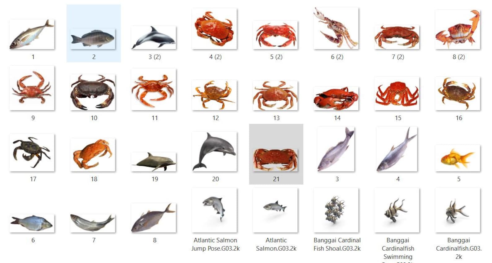 Fish Overlays Photoshop Overlays Transparent PNG - Etsy UK