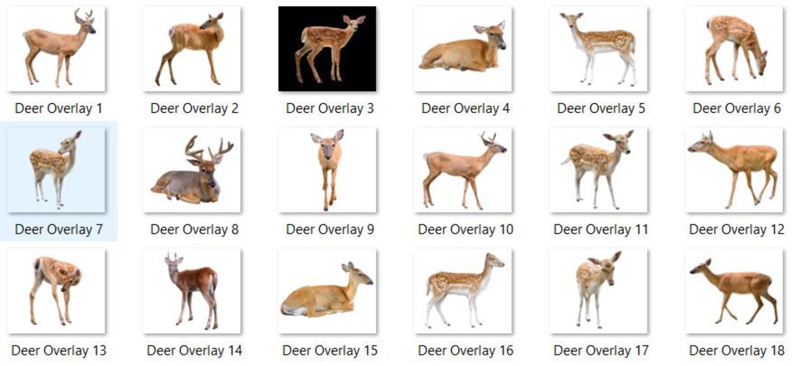 30 Realistic Deer Photo Overlays for Photoshop (digital Downloads) - Etsy