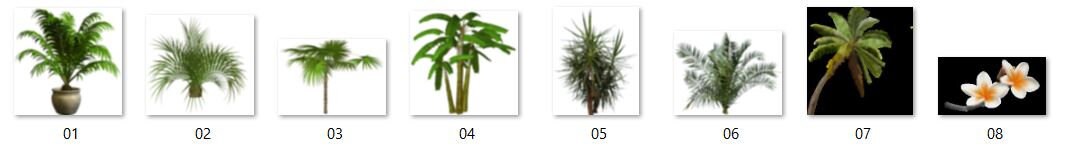 50 Tropical Tree Branch Overlays for Photoshopphotoshop - Etsy