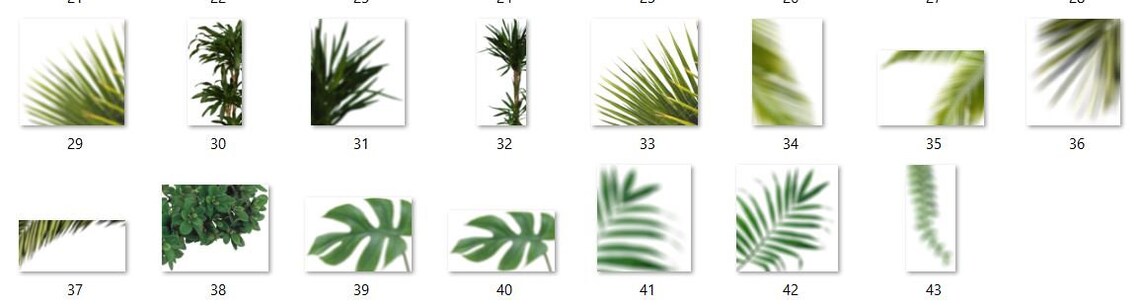 50 Tropical Tree Branch Overlays for Photoshopphotoshop | Etsy