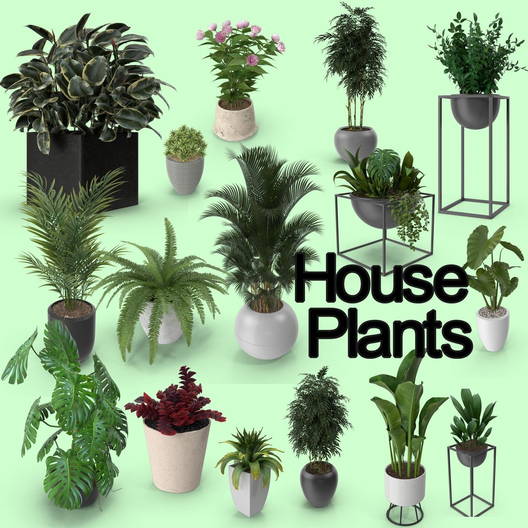House Plants Photoshop Overlays: Interior Design PNG (digital Download ...