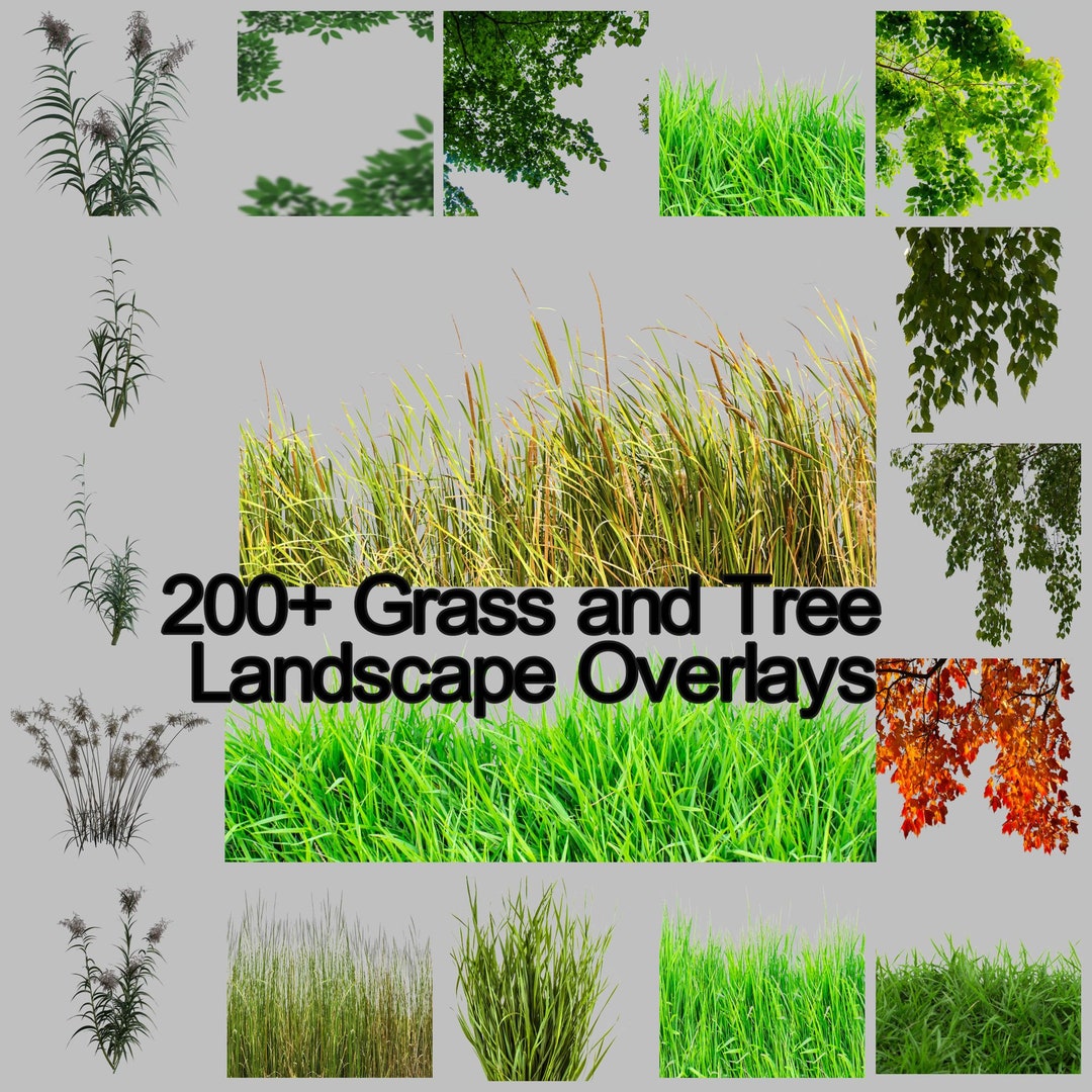 200+ Grass Tree and Sand Landscape Overlays for Photoshop, Photoshop ...