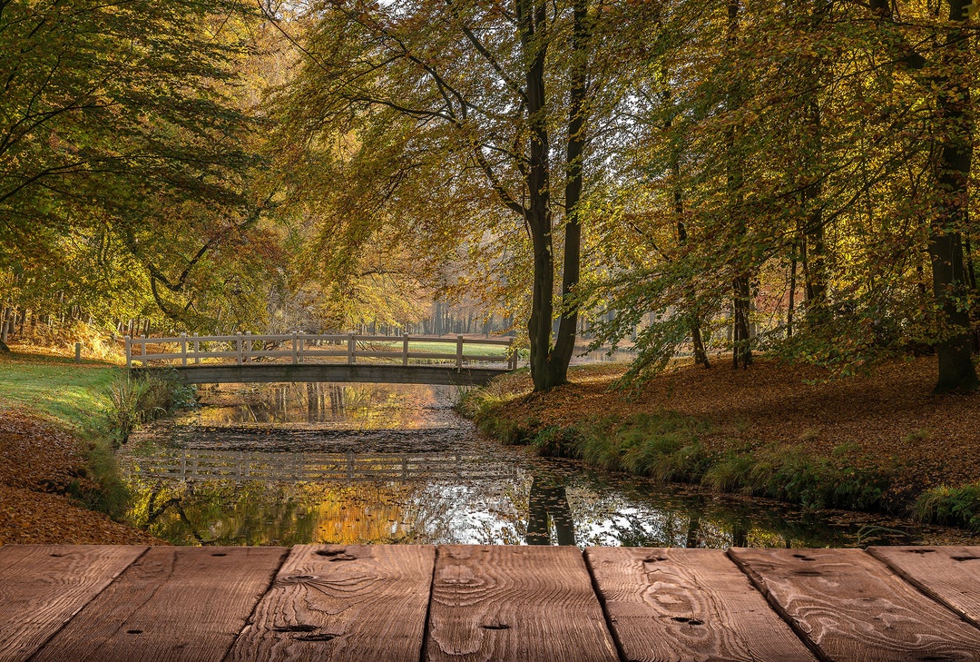 Nature Background for Zoom Meetings, Zoom Background,lake Backgrounds ...