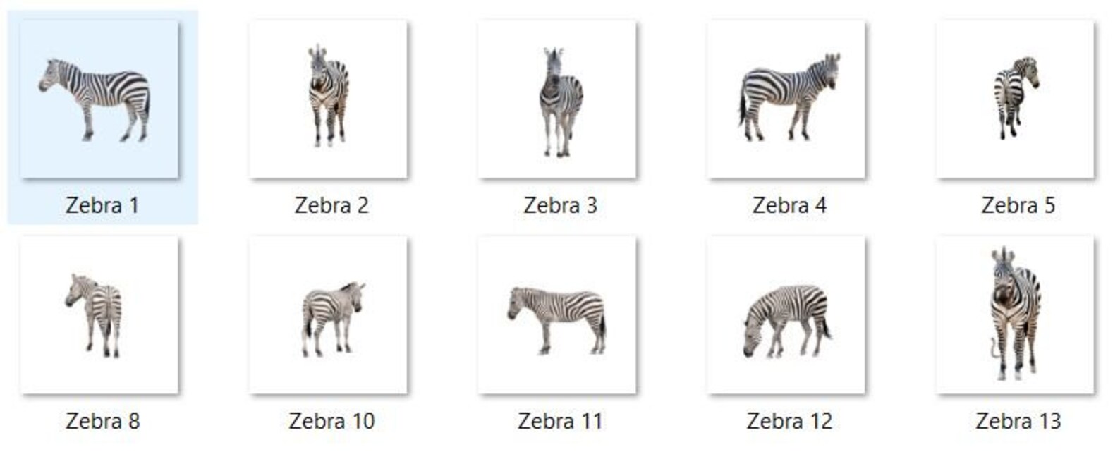 Zebra Overlays for Photoshop Zebra Overlays Photoshop | Etsy