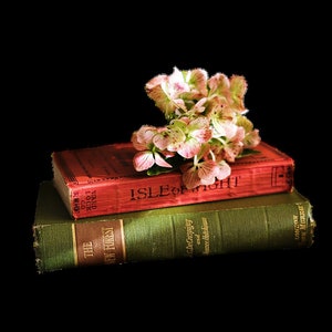 20 Book Overlays, PNG, Transparent Background, Books, Library - Etsy